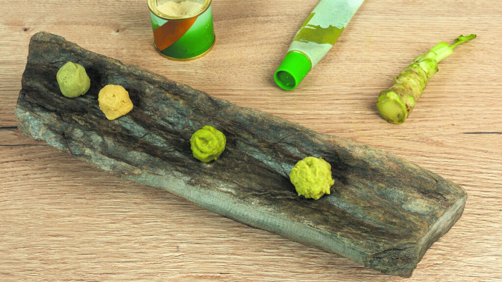 What is wasabi? - Yamaaoi