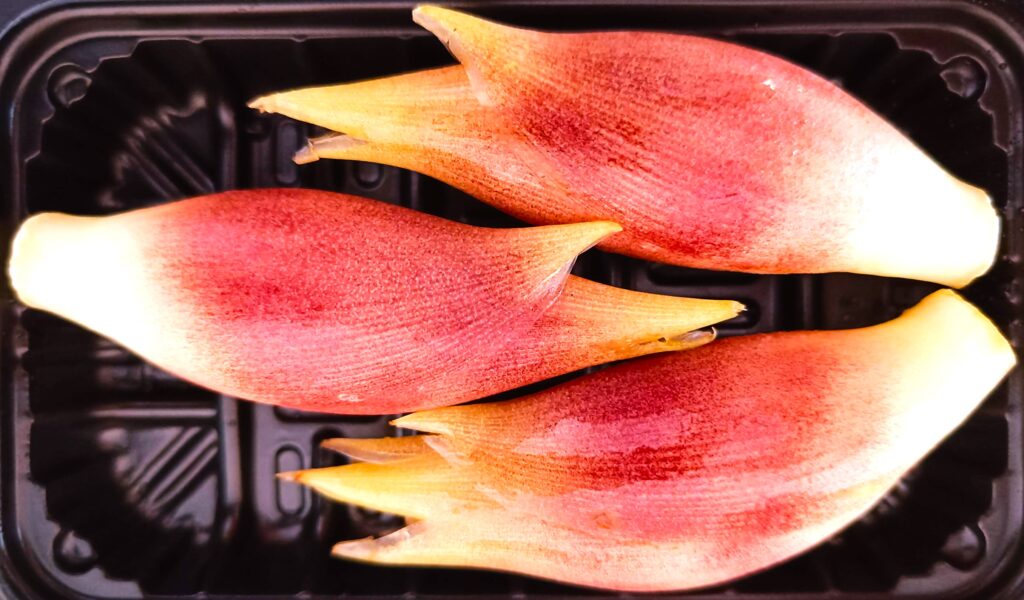 Myoga Flower 50g - Yamaaoi